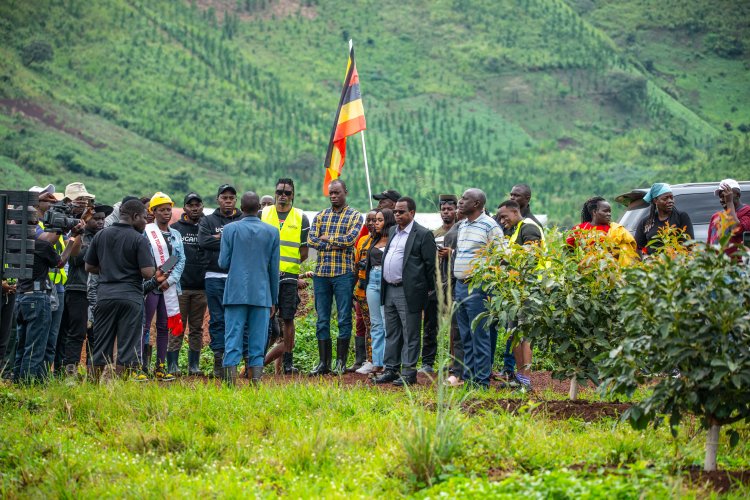 Uganda’s Green Gold, Fostering Sustainability and Prosperity through ...